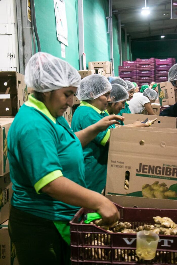 ¿Quiénes somos? | Fruitxchange